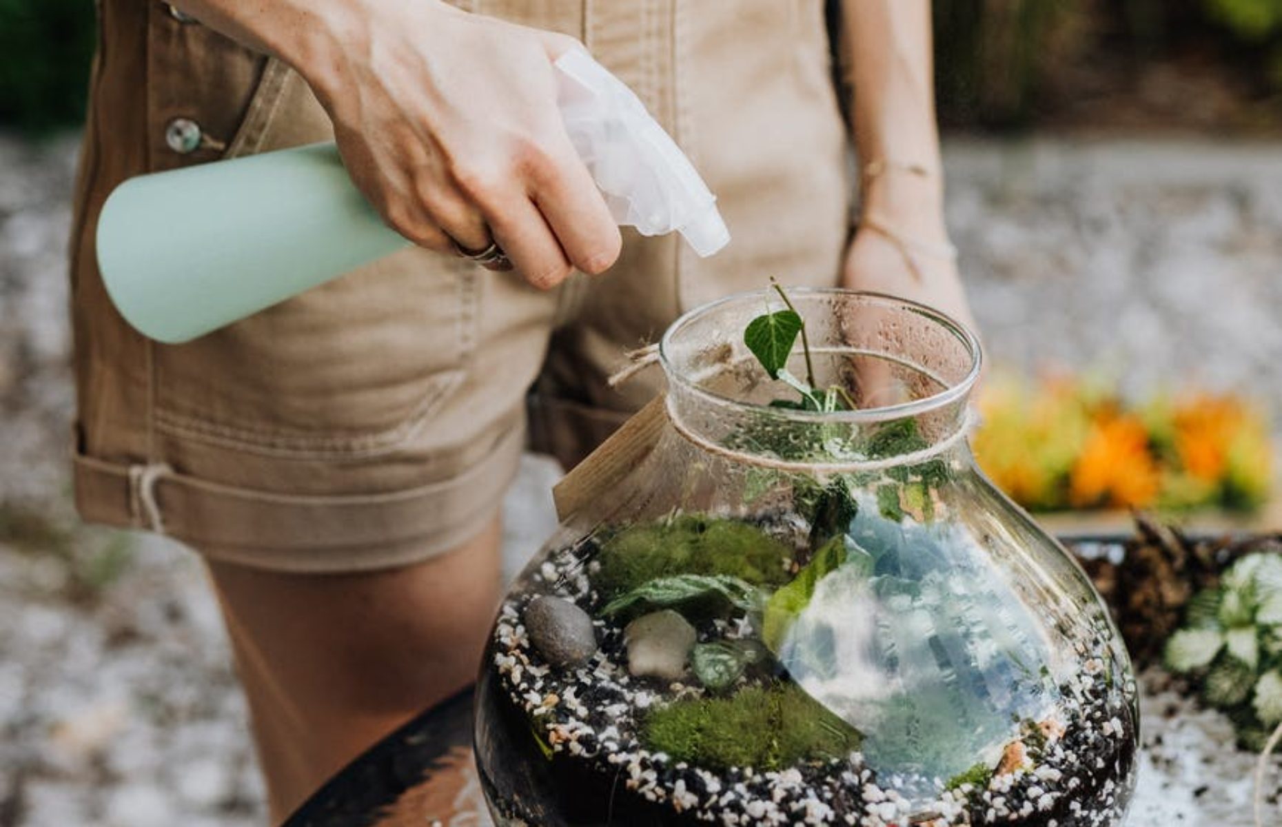 How to Make an Indoor Terrarium - Indoor Plant Guides